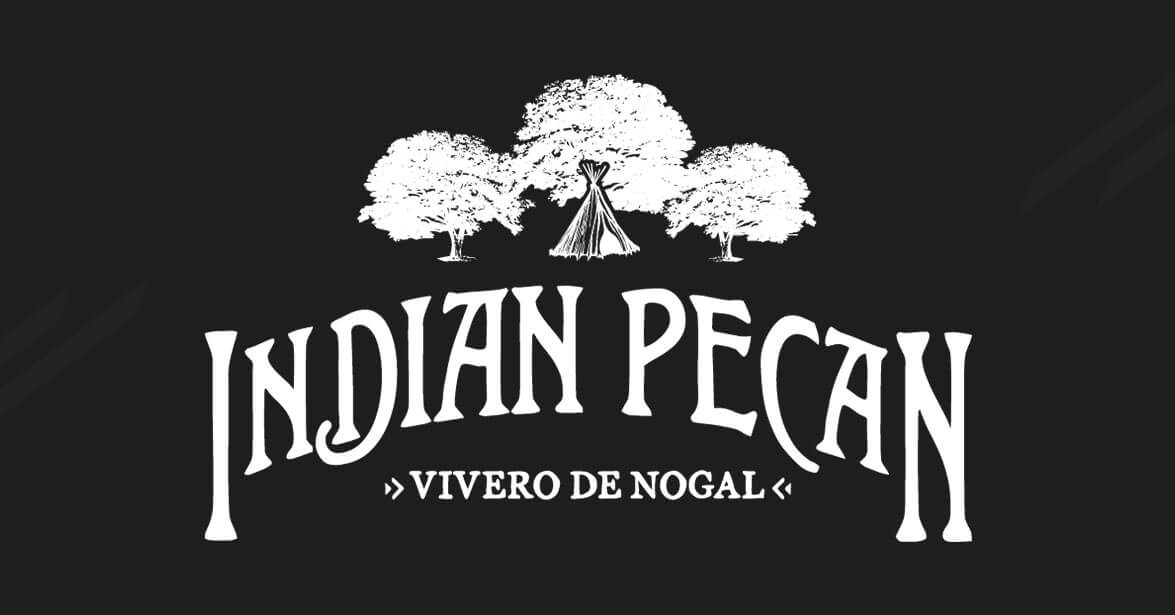 Nogales finos de Chihuahua | Indian Pecan